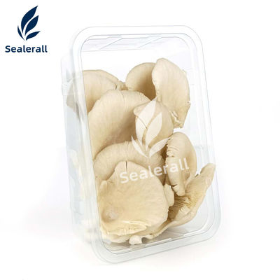 China map tray sealing machine factory